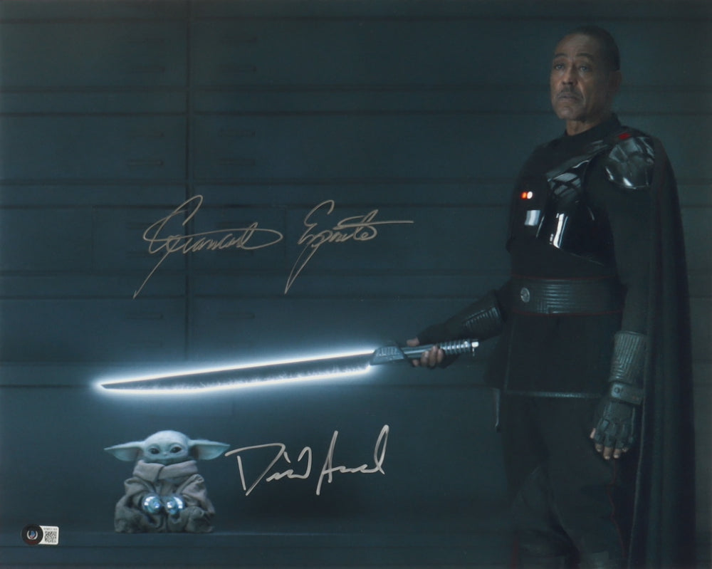 Star Wars - The Mandolorian 16x20 dual signed Giancarlo Esposito & Dav ...